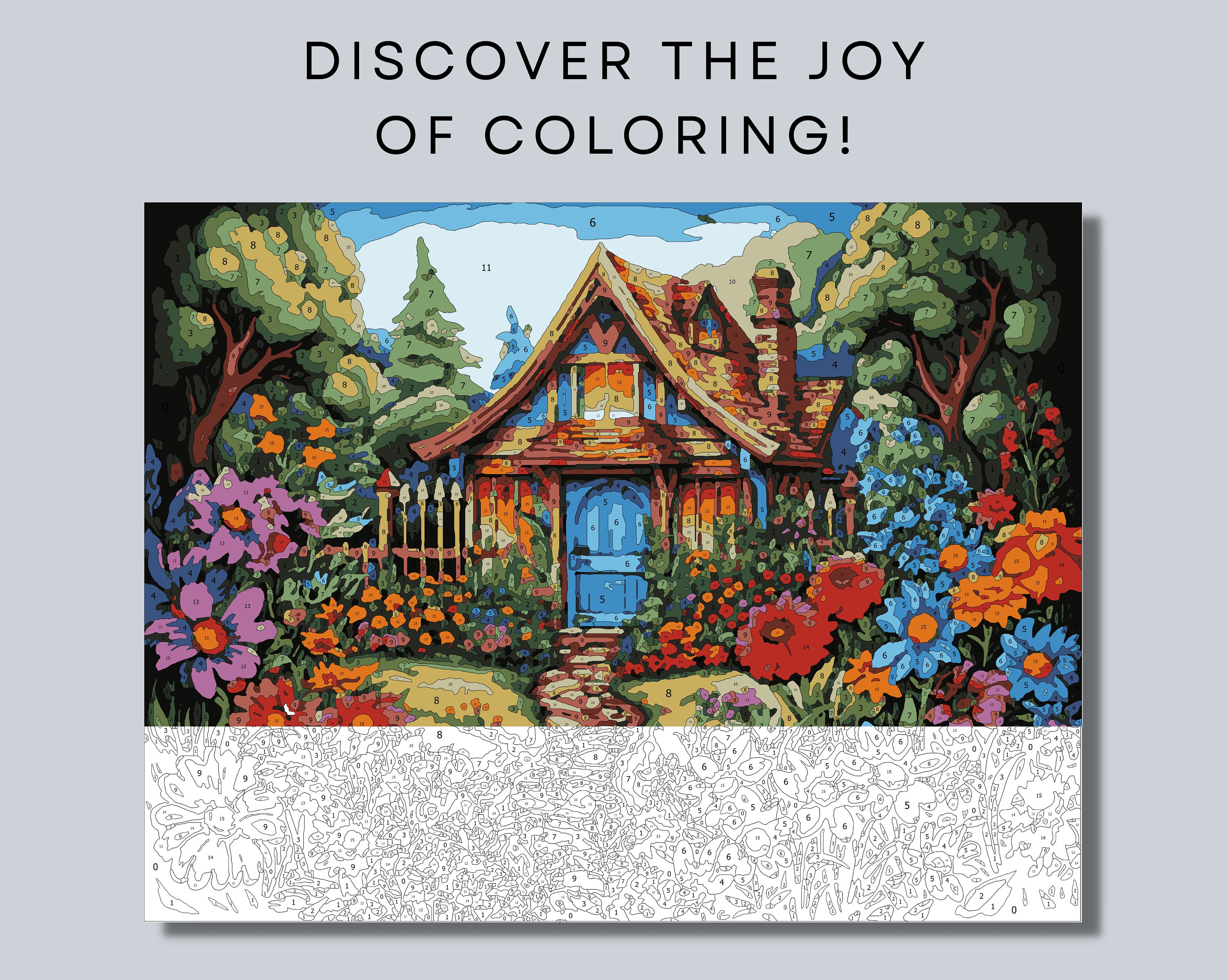 Color by Number, Paint by Number, Paint Number Adult, Coloring Numbered ...