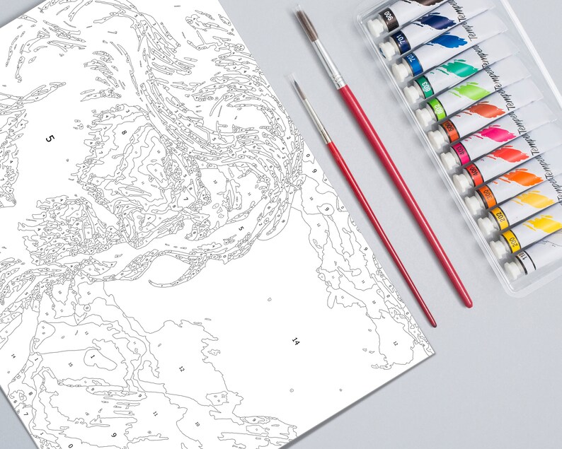 Color by Number Paint by Number Paint Number Adult Coloring - Etsy