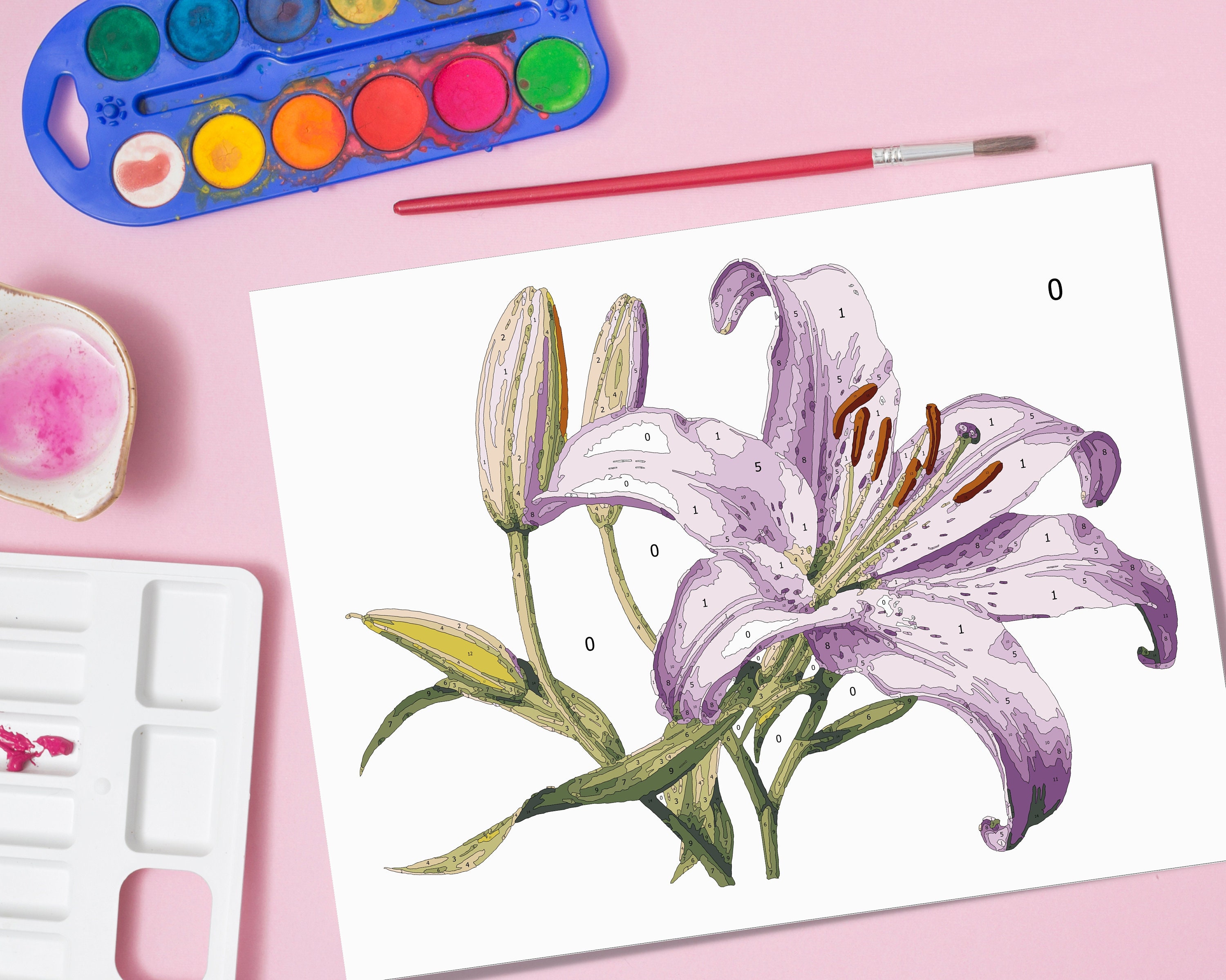 Color by Number, Paint by Number, Paint Number Adult, Coloring Numbered ...