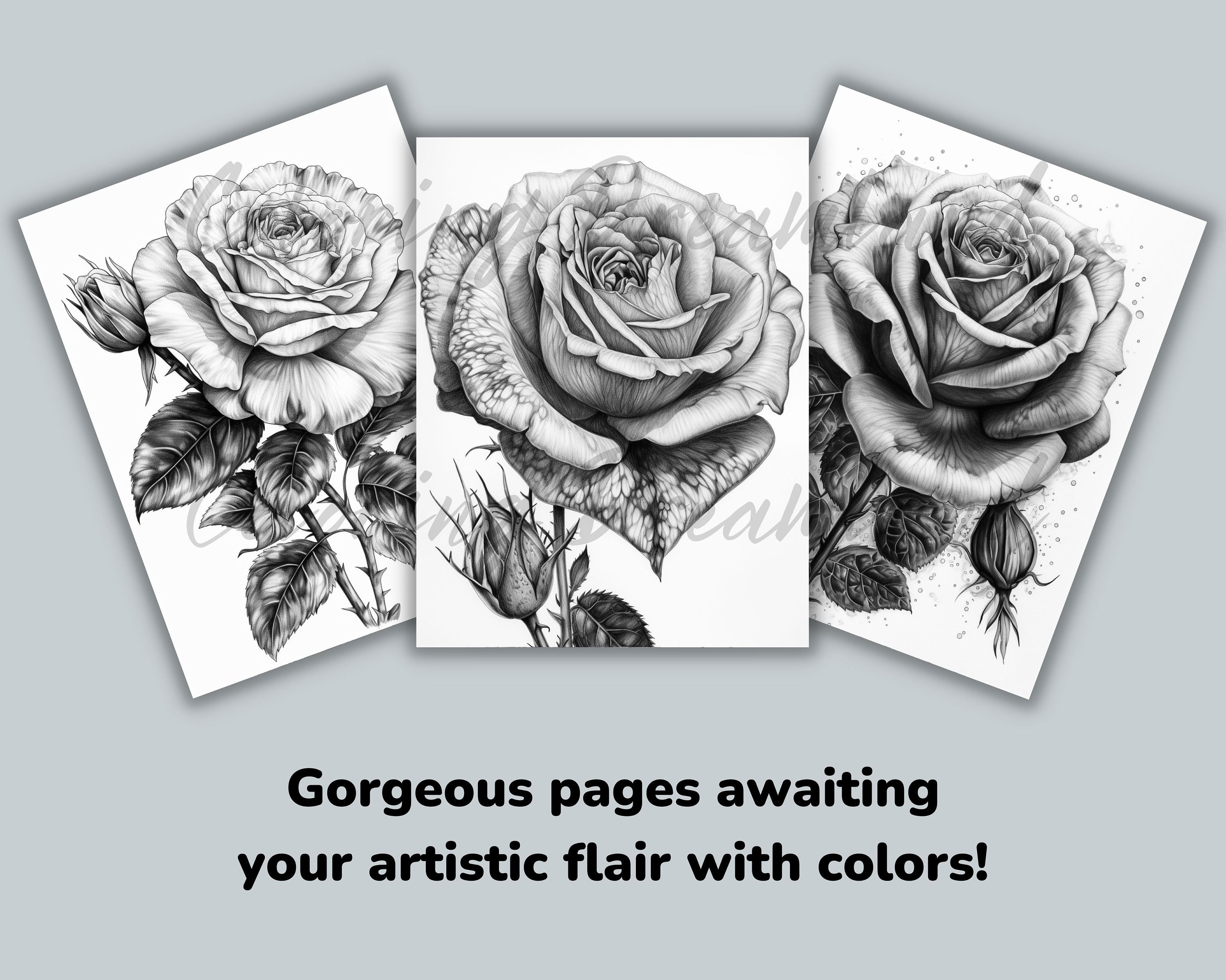Rose Flowers Grayscale Coloring Pages Book Rose Flowers - Etsy