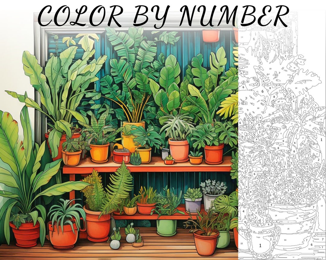 Color by Number, Paint by Number, Paint Number Adult, Coloring Numbered ...