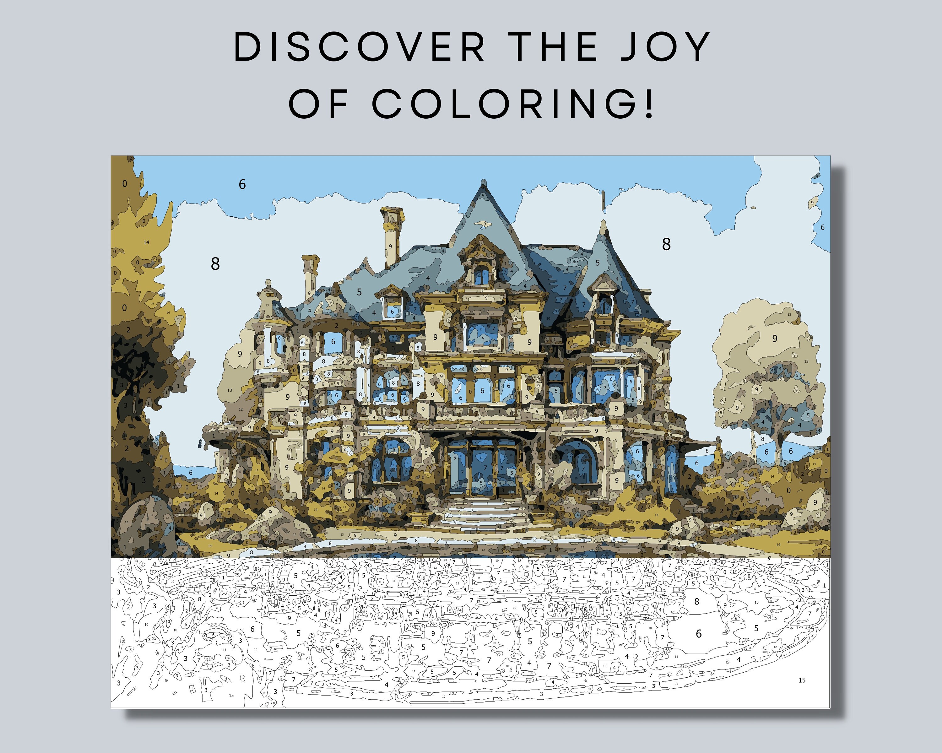 Color by Number, Paint by Number, Paint Number Adult, Coloring Numbered ...