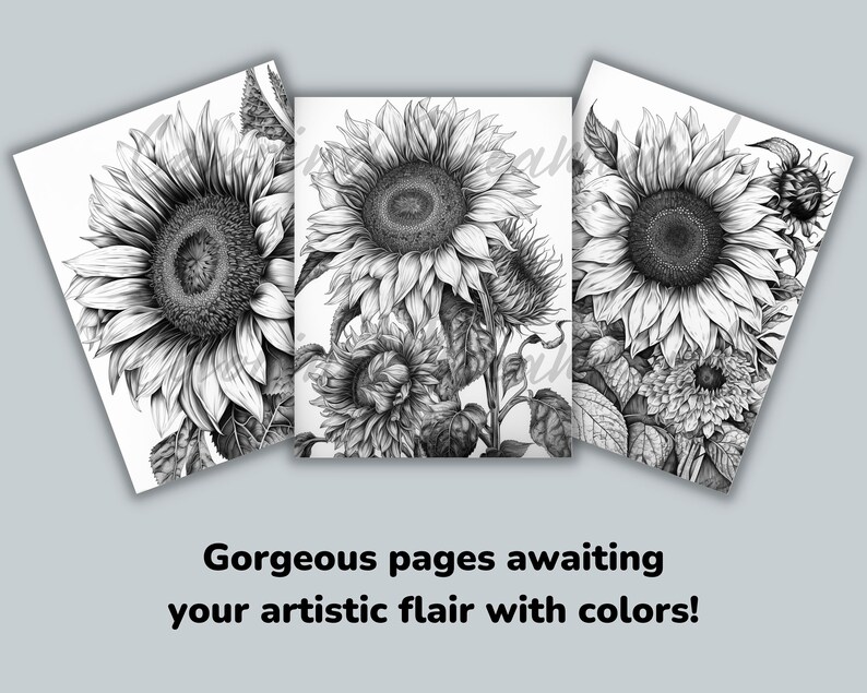Sunflowers Grayscale Coloring Pages Book Beautiful Sunflowers - Etsy