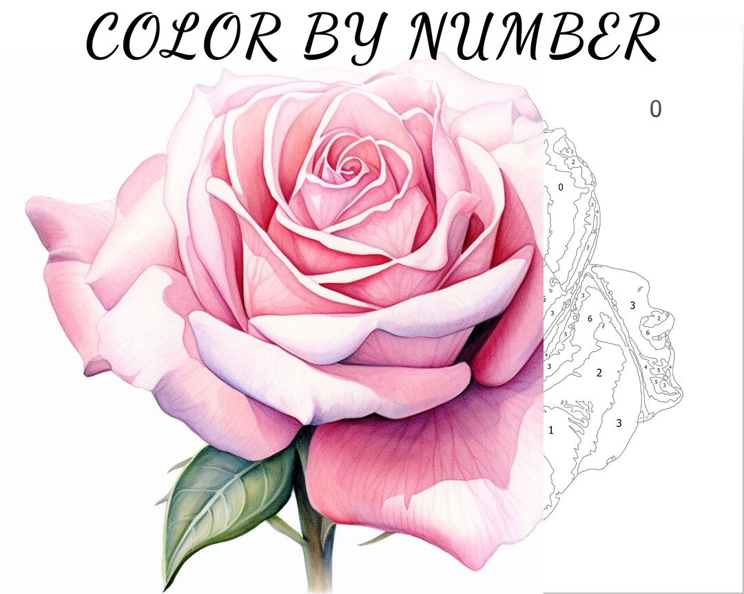 Color by Number, Paint by Number, Paint Number Adult, Coloring Numbered ...