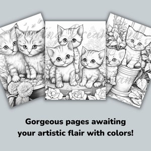 Kittens Coloring, Cats Coloring Book, Kittens Coloring Book, Cats ...