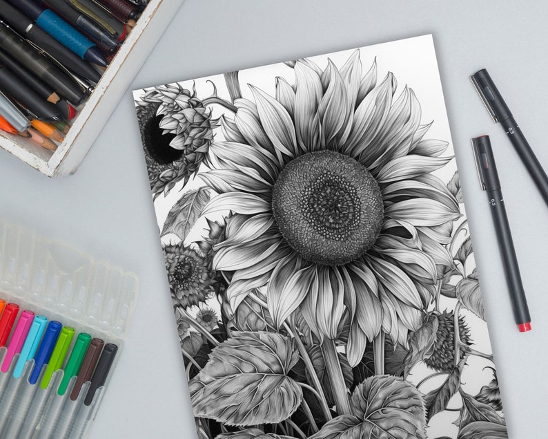 Sunflowers Grayscale Coloring Pages Book, Beautiful Sunflowers ...