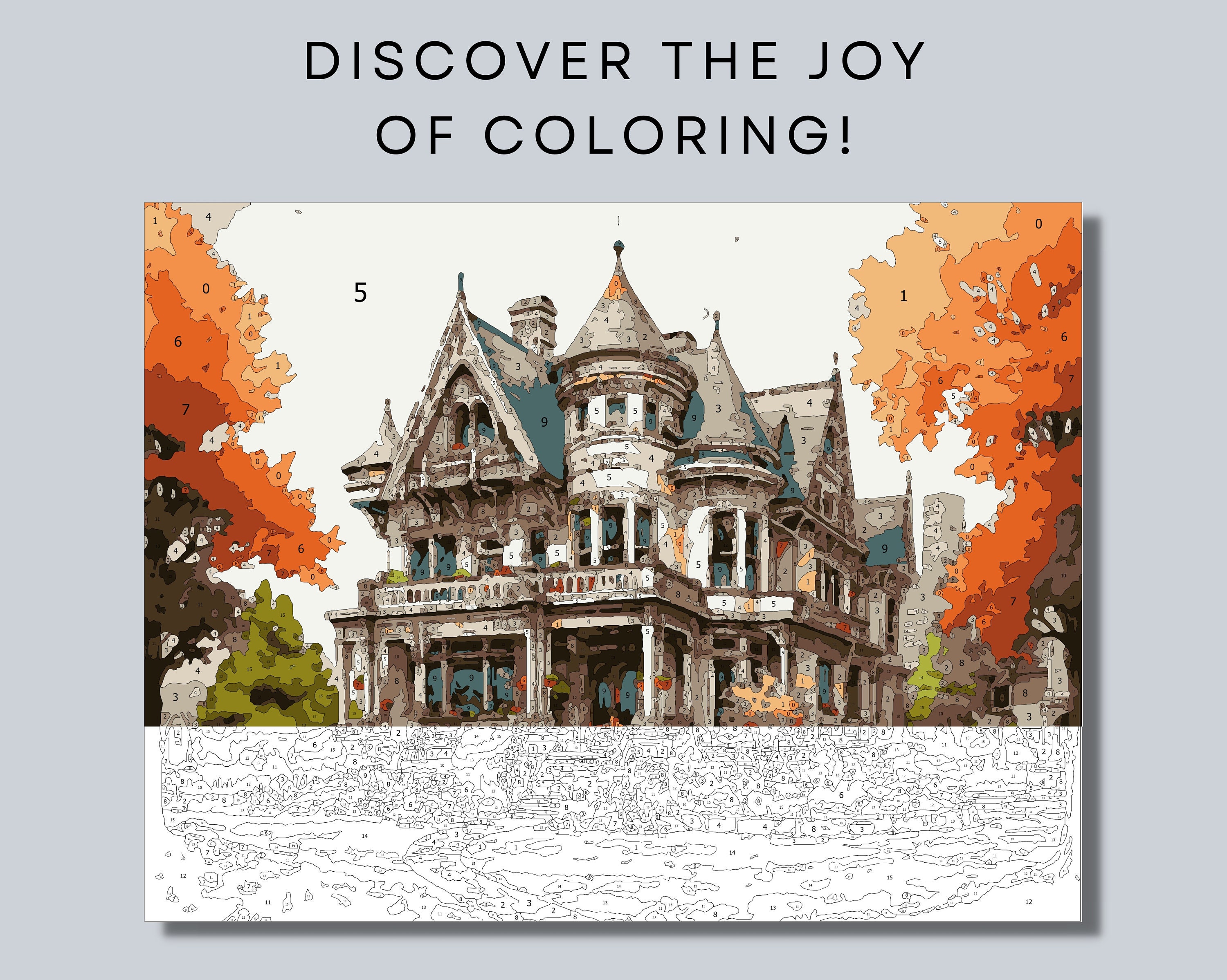 Color by Number, Paint by Number, Paint Number Adult, Coloring Numbered ...