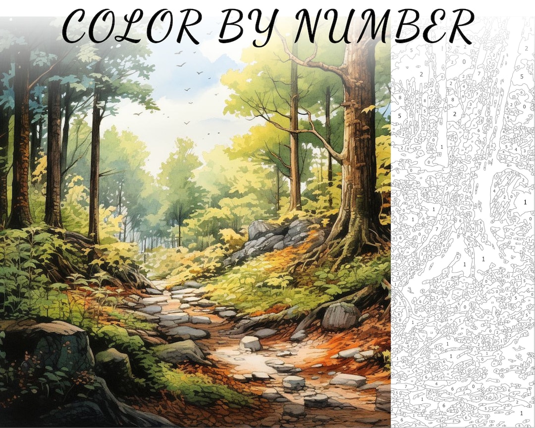 Color by Number, Paint by Number, Paint Number Adult, Coloring Numbered ...