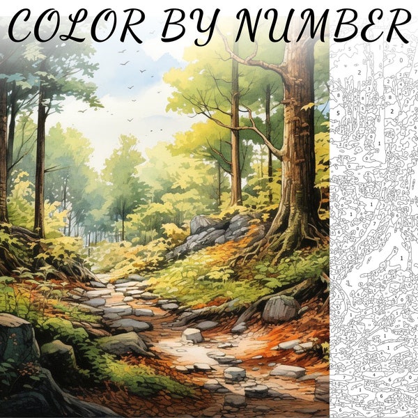 Adult Paint by Number Forest - Etsy