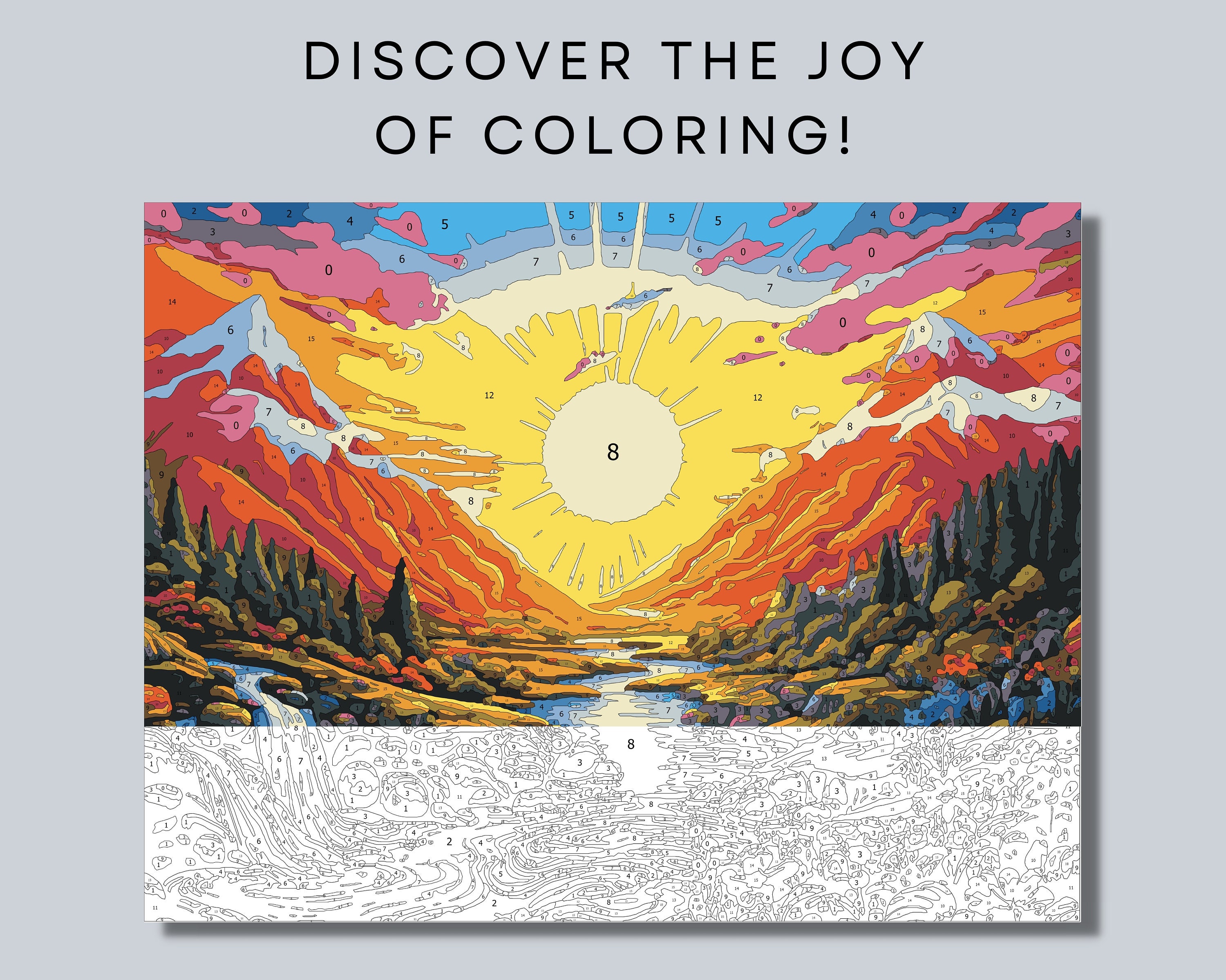 Color by Number Paint by Number Paint Number Adult Coloring - Etsy