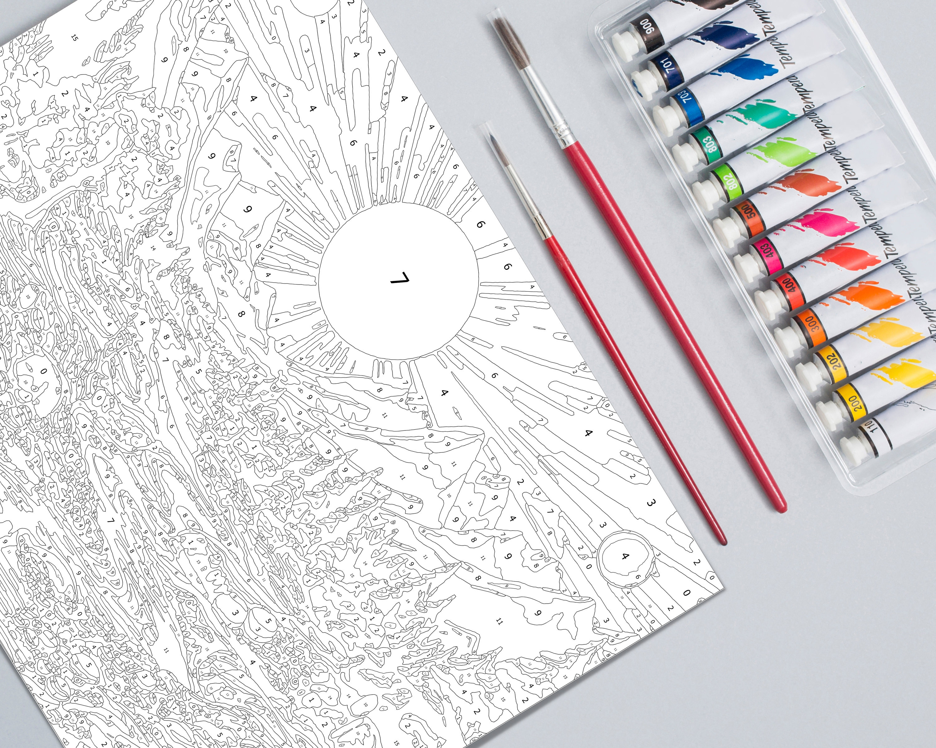 Color by Number Paint by Number Paint Number Adult Coloring - Etsy