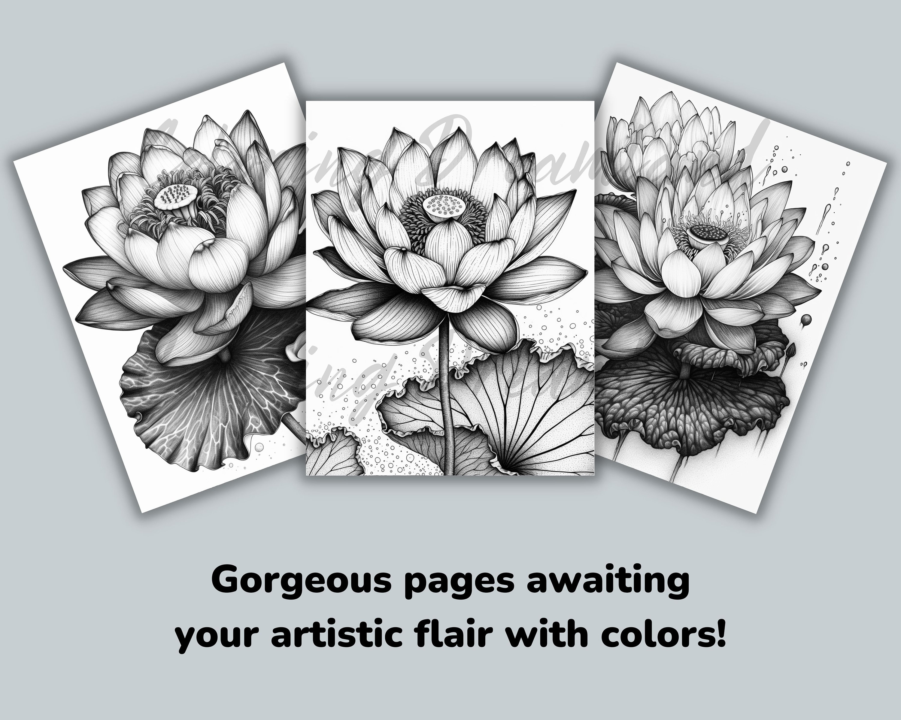 Lotus Flowers Grayscale Coloring Pages Book Lotus Flowers - Etsy