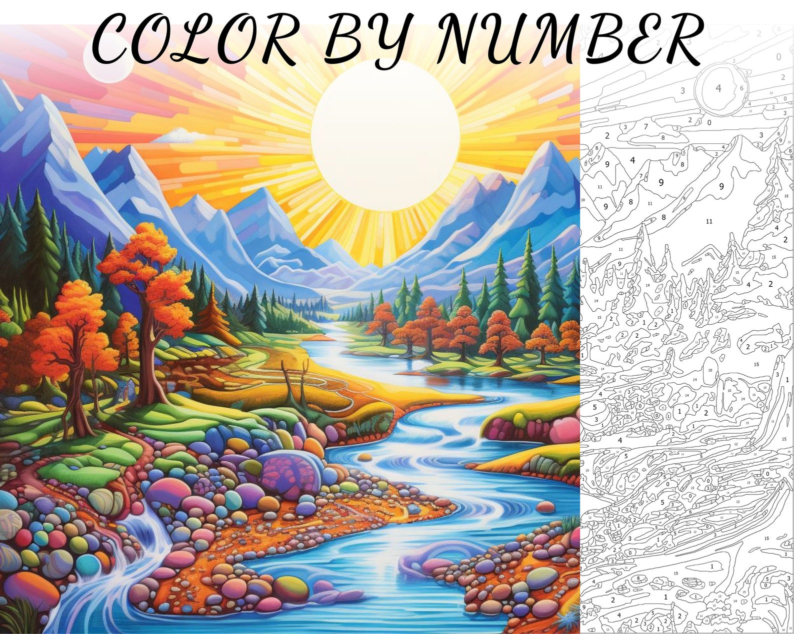 Color by Number Paint by Number Paint Number Adult Coloring - Etsy