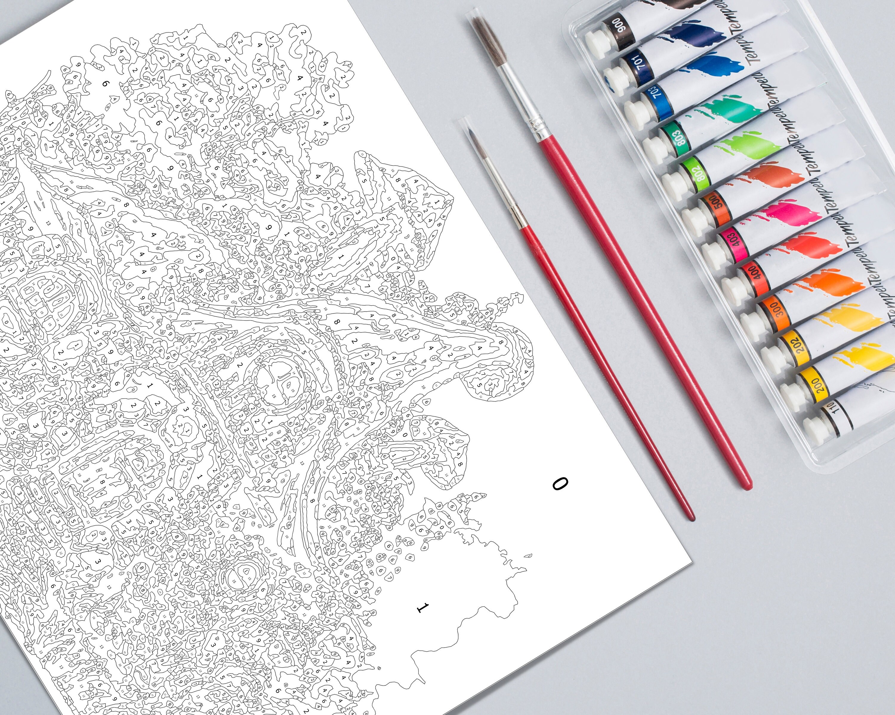 Color by Number, Paint by Number, Paint Number Adult, Coloring Numbered ...