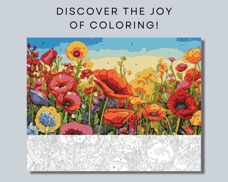 Color by Number, Paint by Number, Paint Number Adult, Coloring Numbered ...