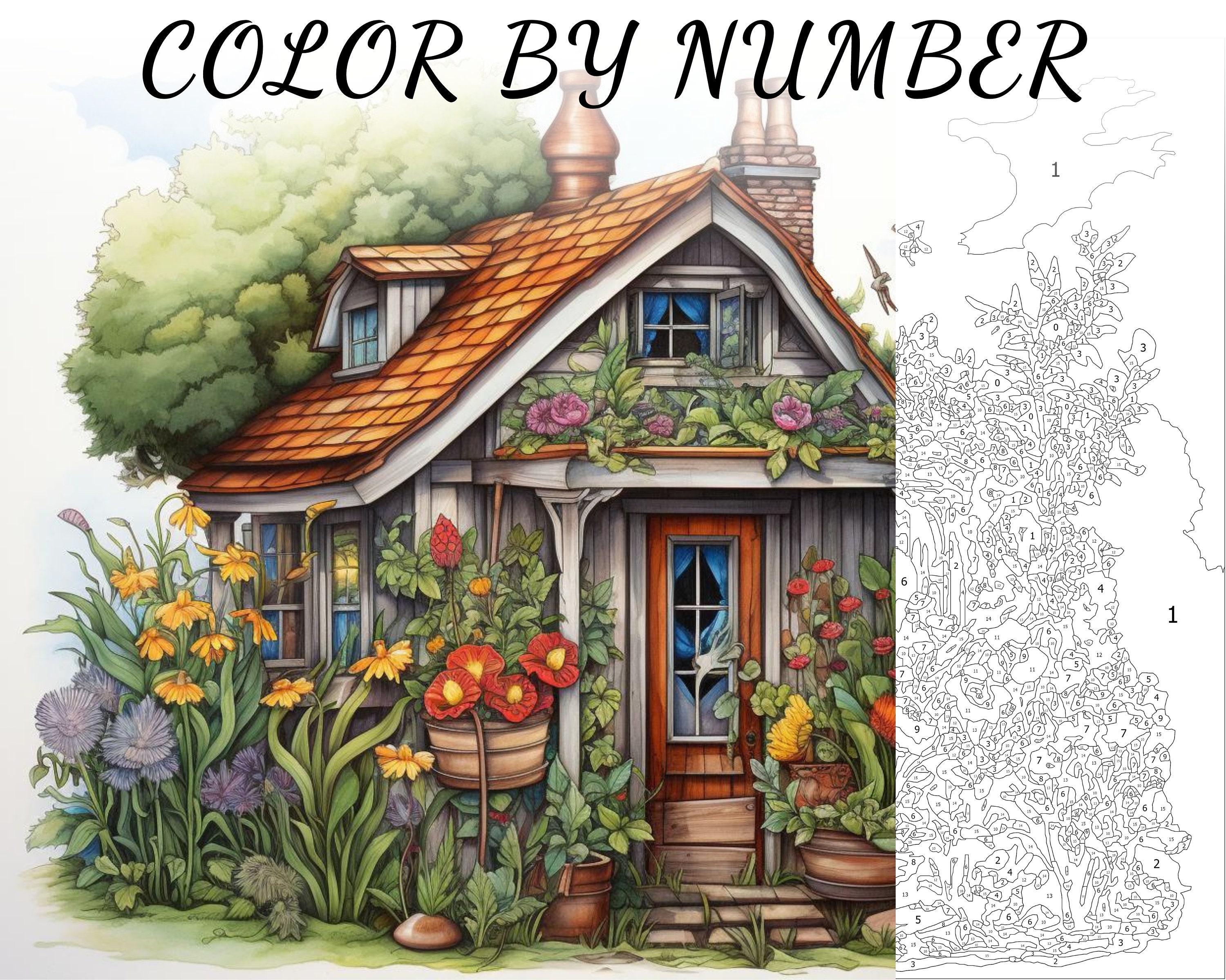 Color by Number, Paint by Number, Paint Number Adult, Coloring Numbered ...