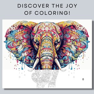 Color by Number, Paint by Number, Paint Number Adult, Coloring Numbered ...