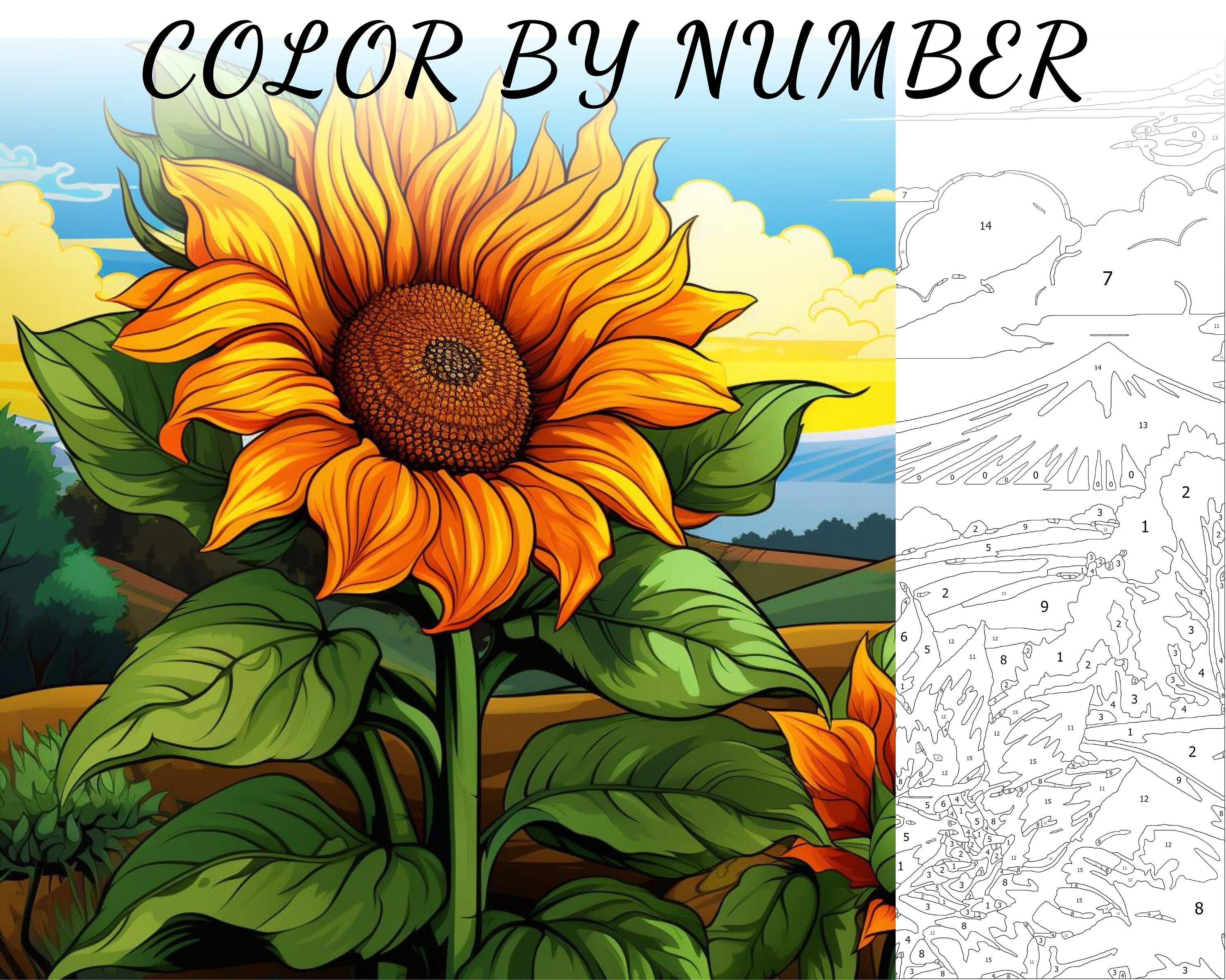 Color by Number, Paint by Number, Paint Number Adult, Coloring Numbered ...