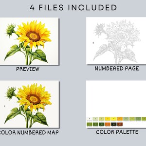 Color by Number, Paint by Number, Paint Number Adult, Coloring Numbered ...