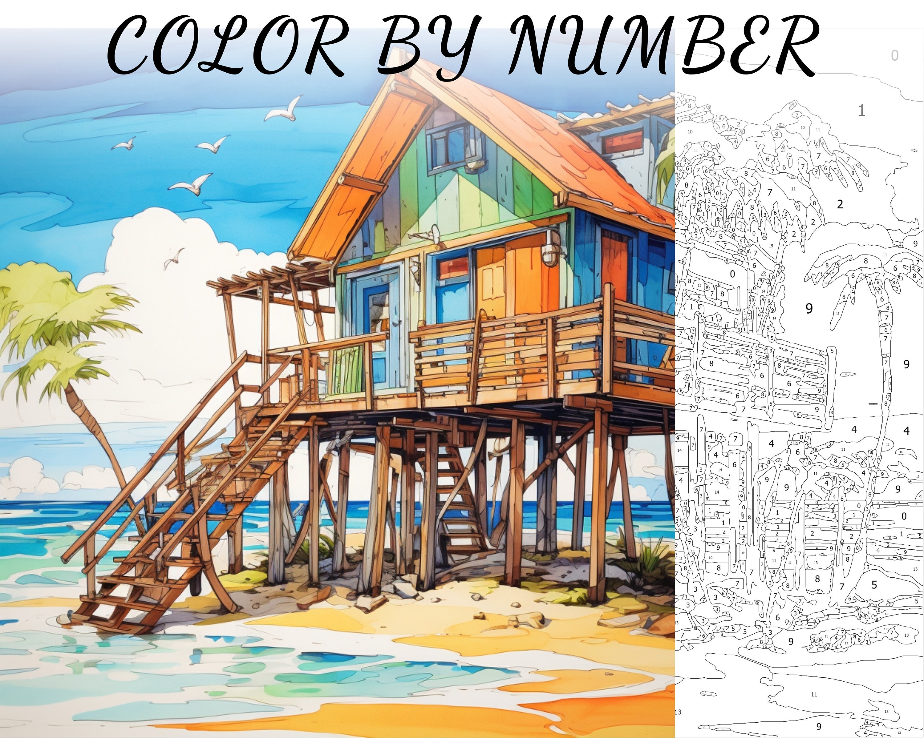Color by Number, Paint by Number, Paint Number Adult, Coloring Numbered ...