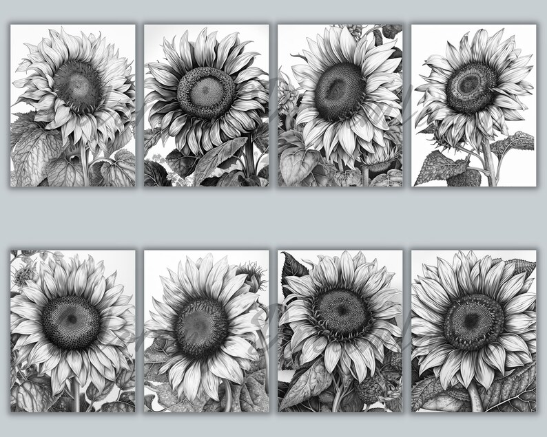 Sunflowers Grayscale Coloring Pages Book Beautiful Sunflowers - Etsy