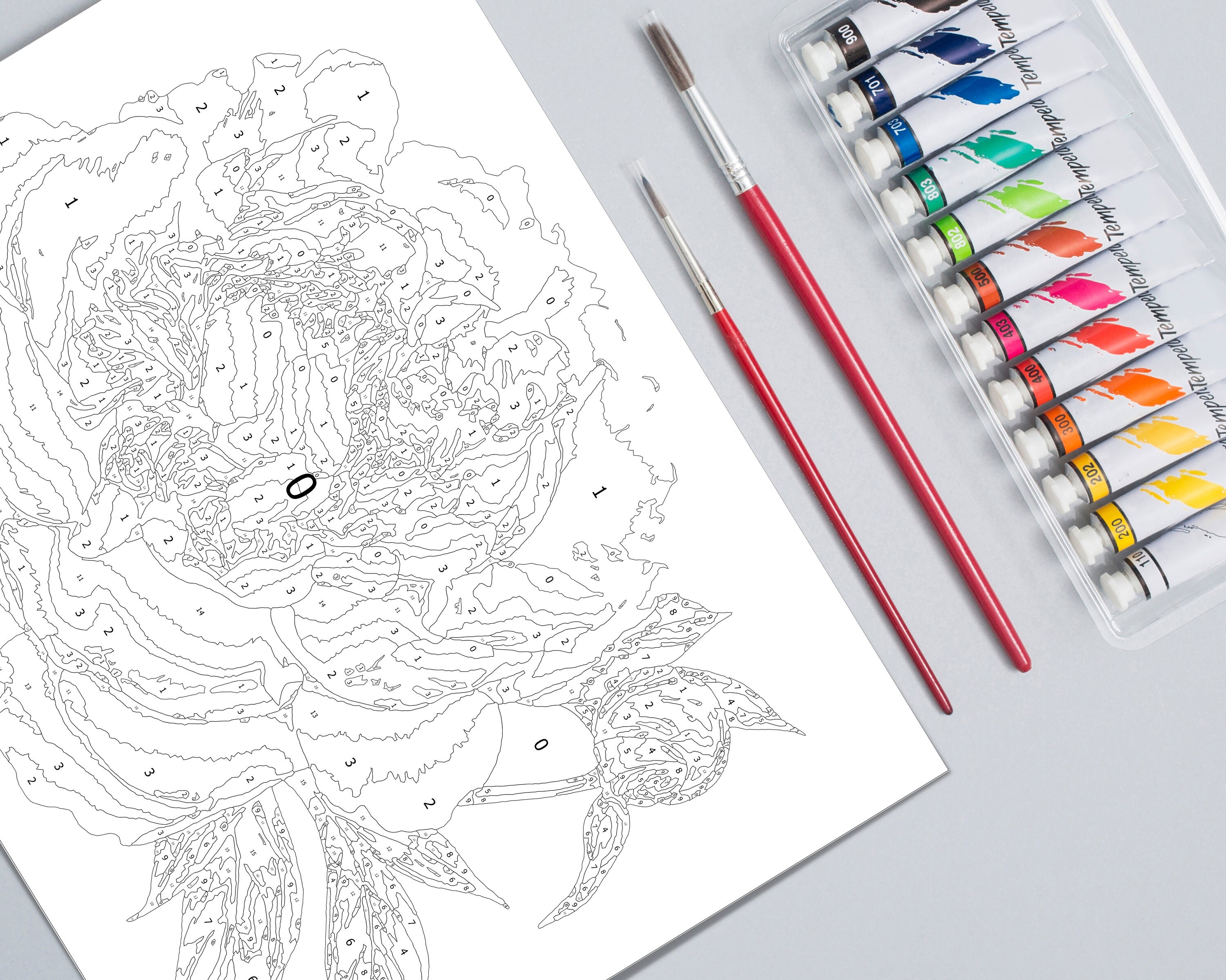 Color by Number, Paint by Number, Paint Number Adult, Coloring Numbered ...