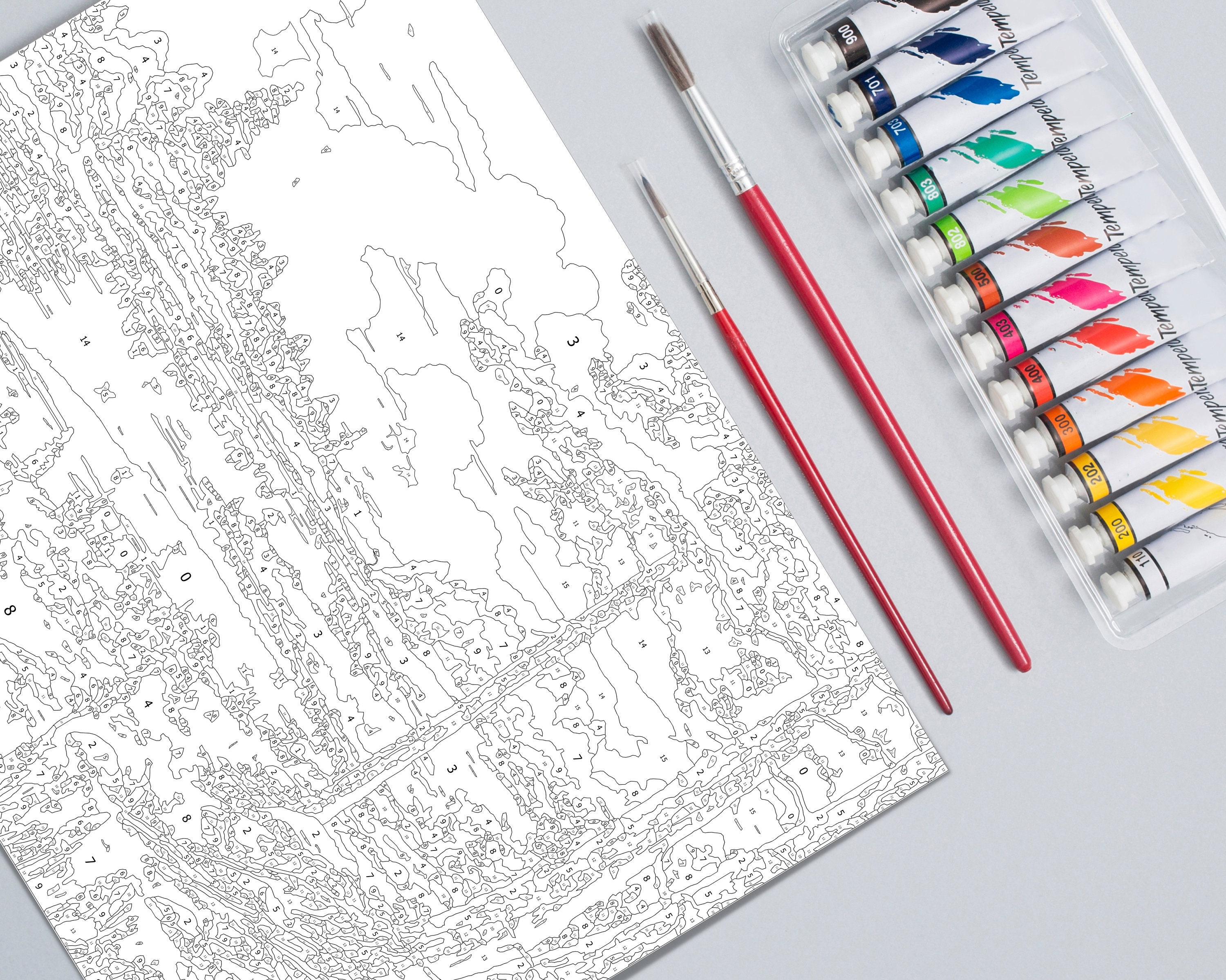 Color by Number, Paint by Number, Paint Number Adult, Coloring Numbered ...