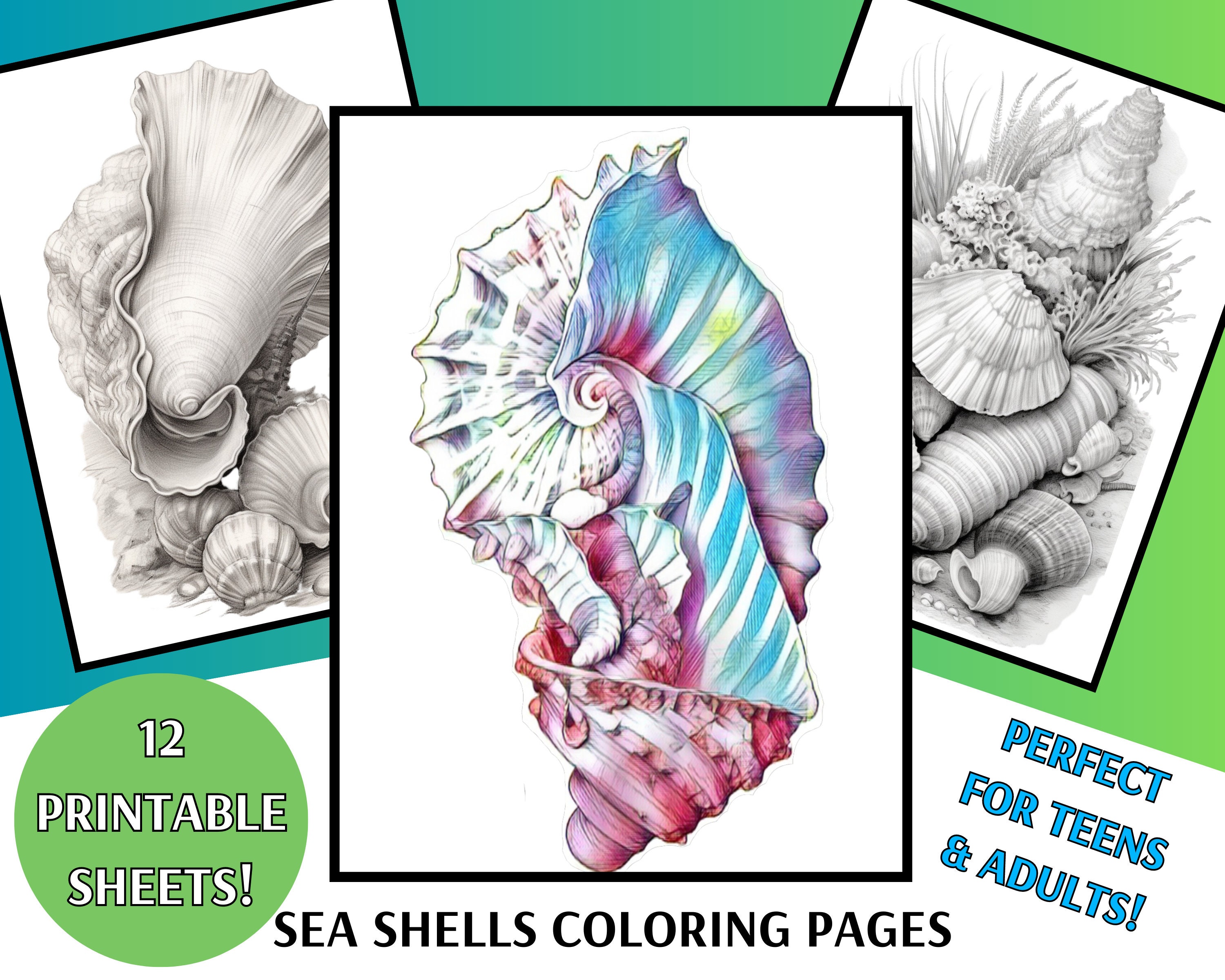 Printable Seashell Coloring Pages