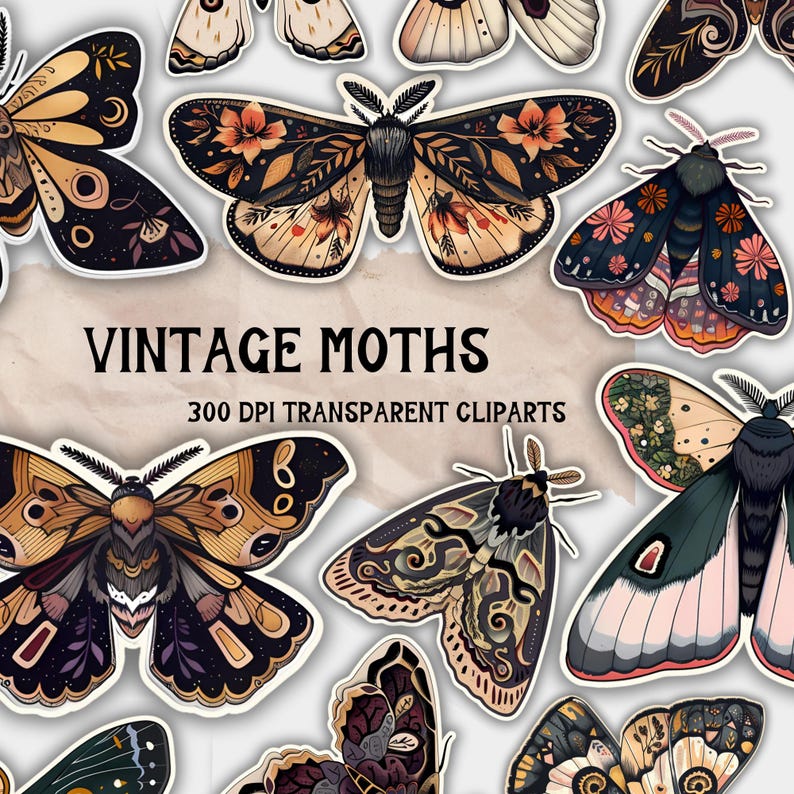 Vintage Moth Clipart Set | Printable Fussy Cut Moths | Neutral Insect ...