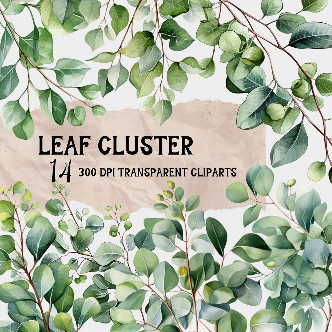 Watercolor Eucalyptus Clipart Bundle - Greenery Botanical Leaves PNG ...