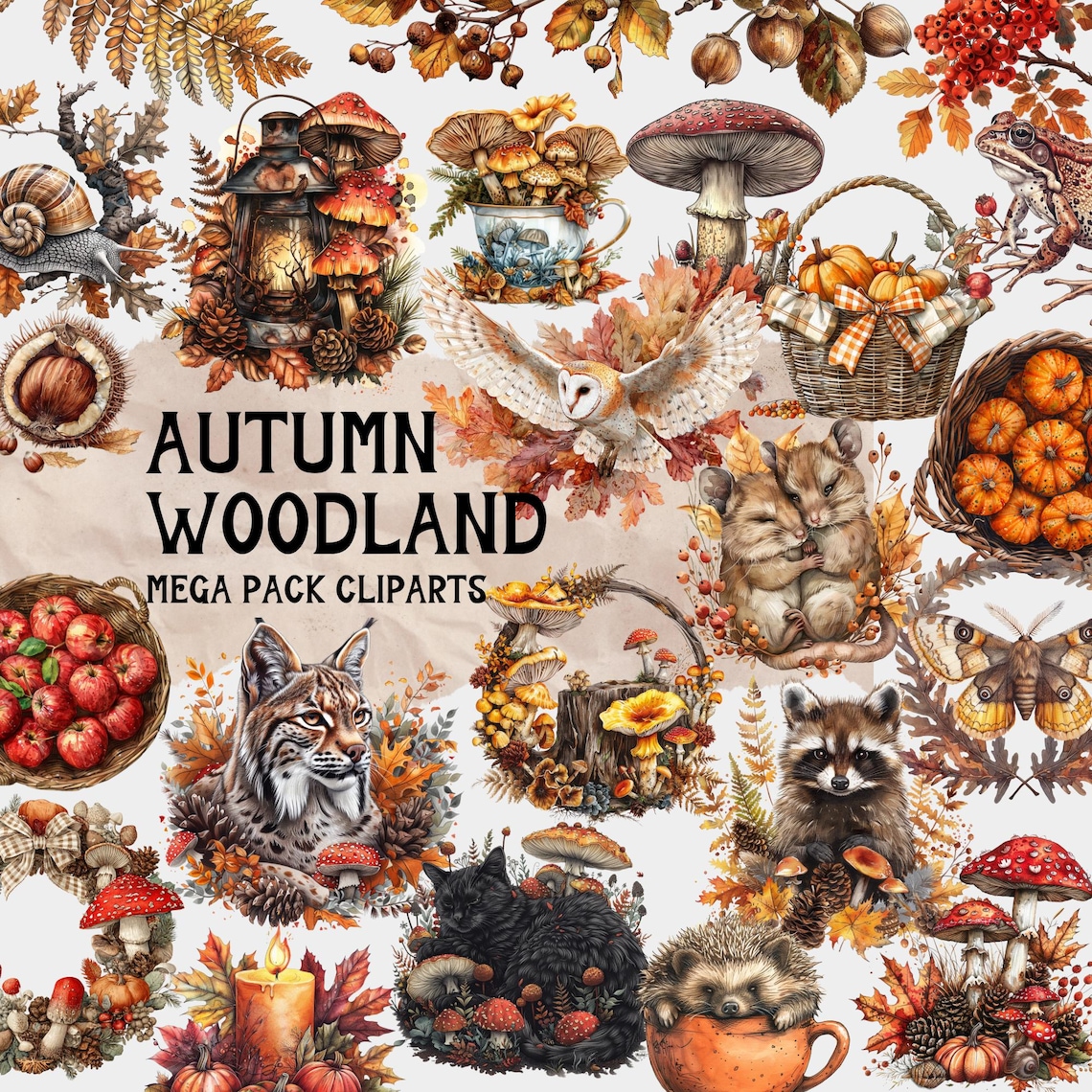 Autumn Woodland Animals Clipart: Cottagecore Fall Graphics (PNG, JPEG ...
