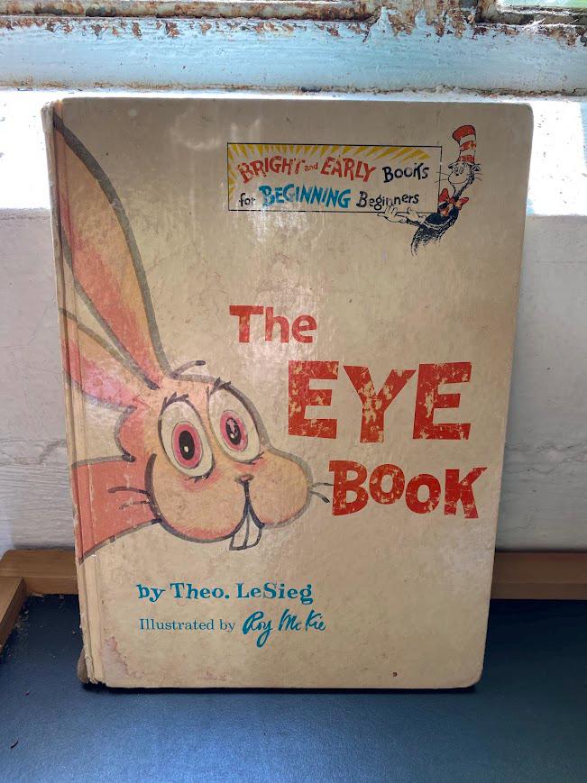 Handmade Custom Coptic Stitch Dr. Seuss Journals - Etsy