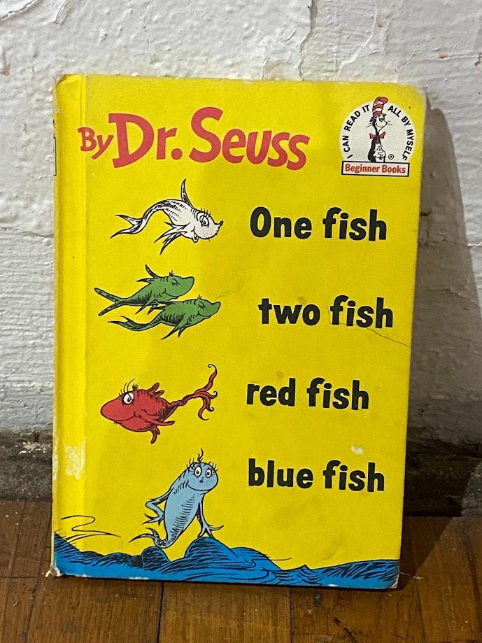 Handmade Custom Coptic Stitch Dr. Seuss Journals - Etsy