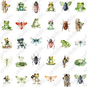 Frog Clipart Bundle, Watercolor Frog, Cute Frogs PNG, Sublimation Frog ...