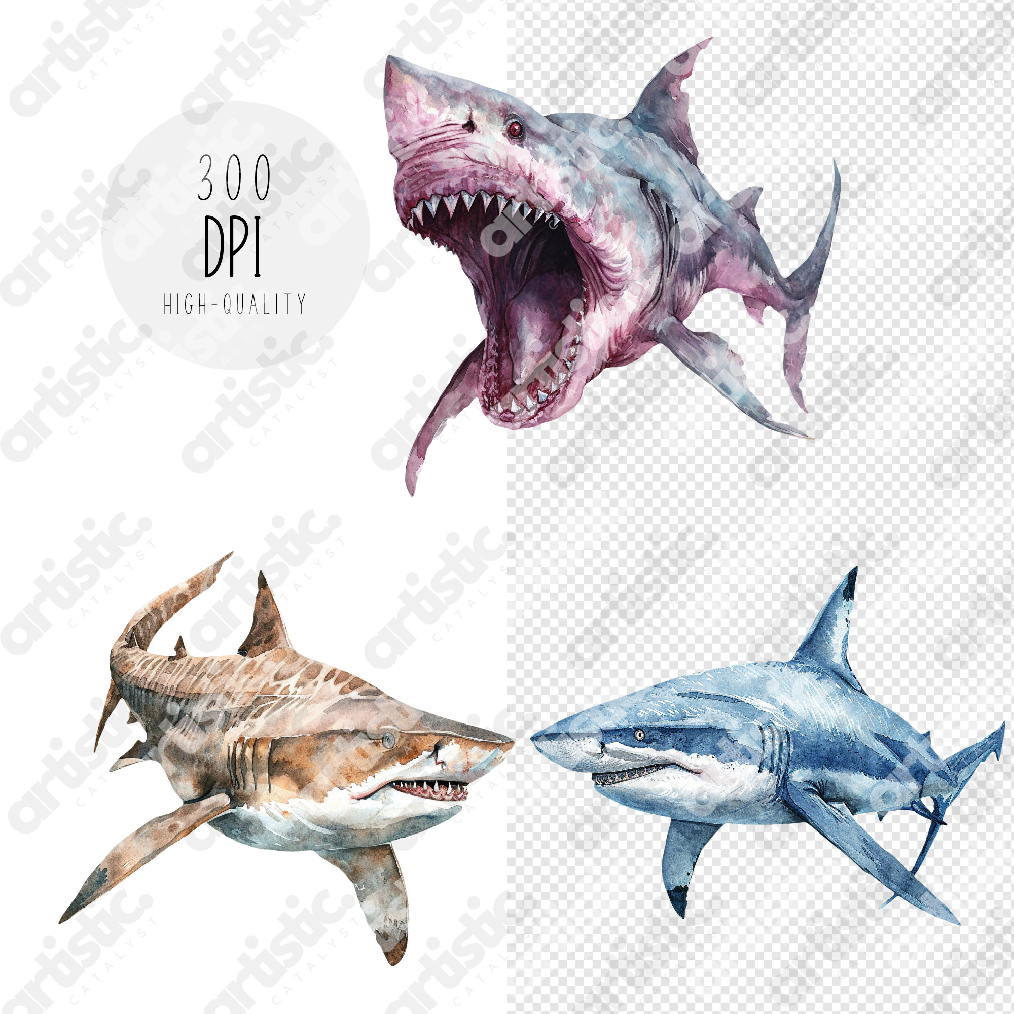 Watercolor Shark Clipart Bundle: 26 PNG Images (digital Download) - Etsy
