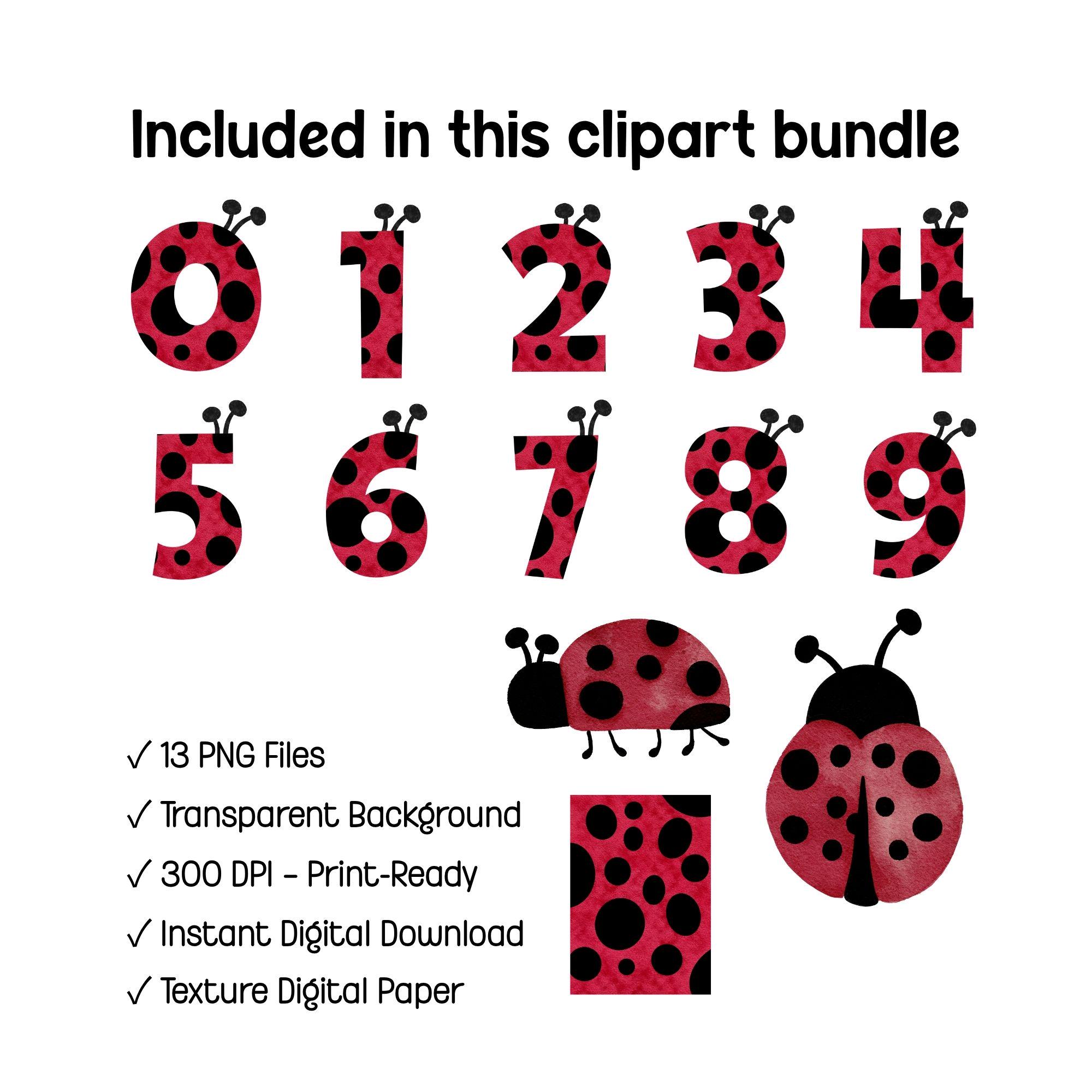 Ladybug Birthday Clipart Numbers: Hand-drawn Insect PNG Set (digital ...