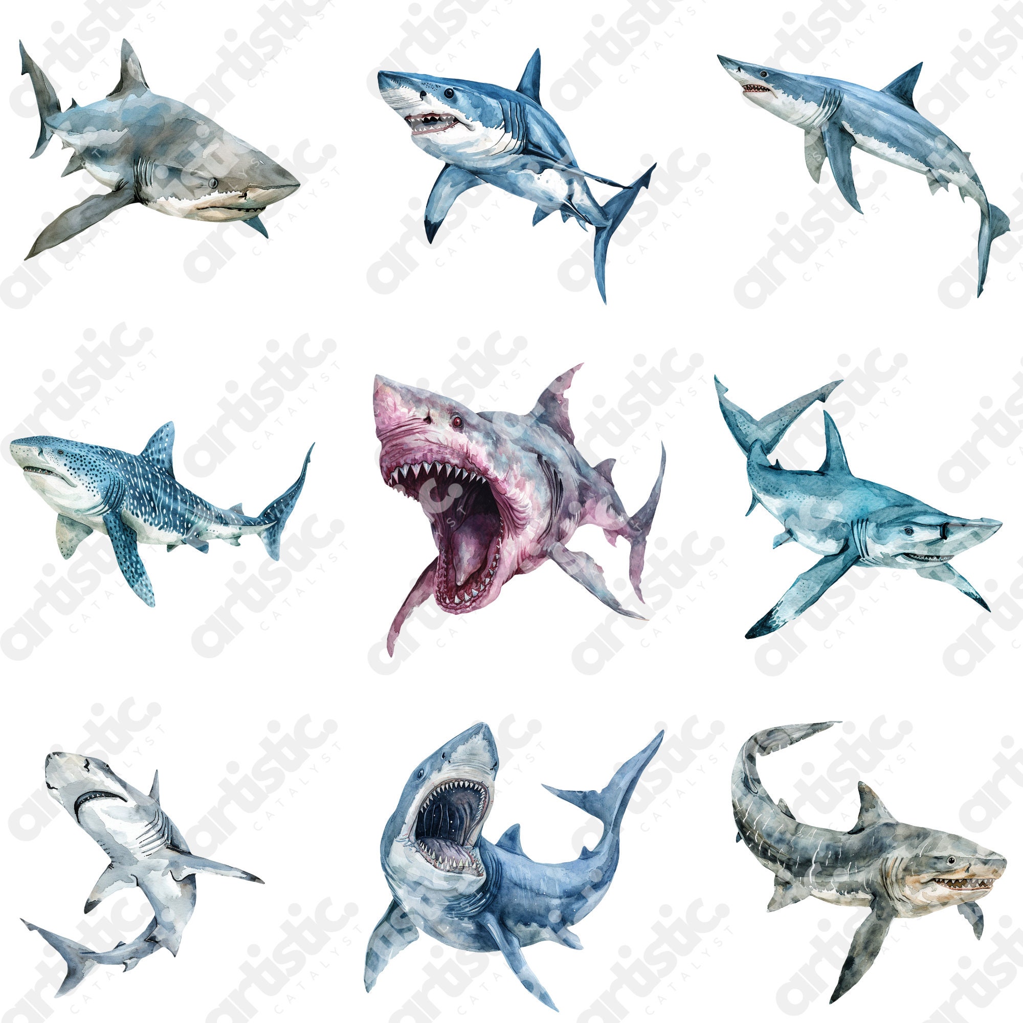 Watercolor Shark Clipart Bundle: 26 PNG Images (digital Download) - Etsy