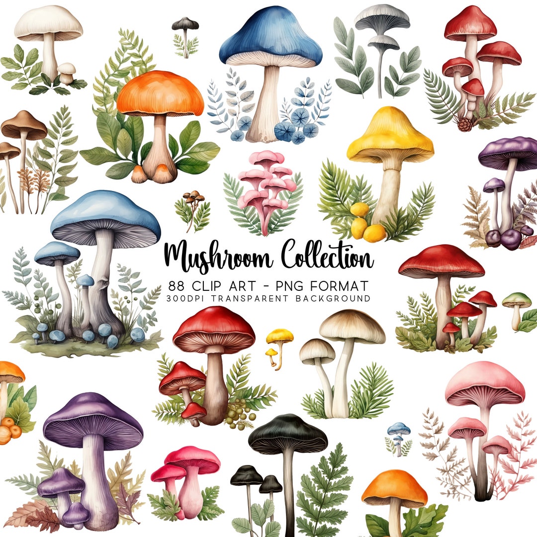 Mushroom Clipart and Mycology Image Bundle, Watercolour Clipart Set of ...