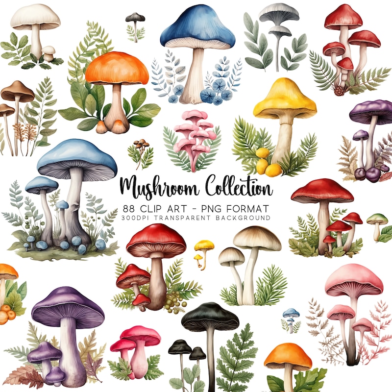 Mushroom Clipart - Etsy