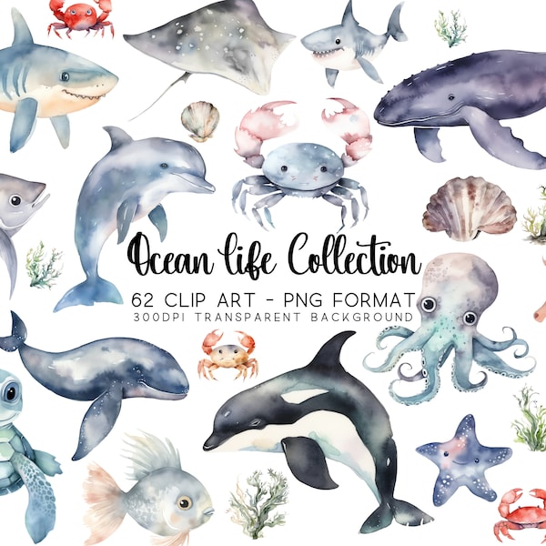 Ocean Life - Etsy