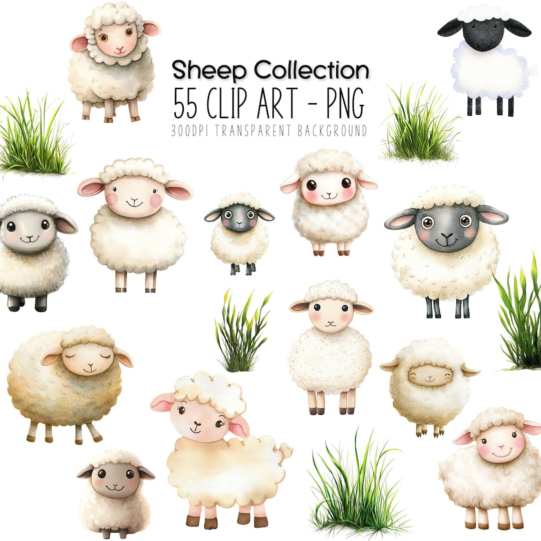 Watercolor Sheep Clipart Bundle: Farm Animal Graphics (digital Download ...