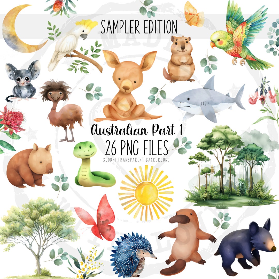 Watercolor Australian Animal Clipart: Nursery Decor PNG Bundle - Etsy