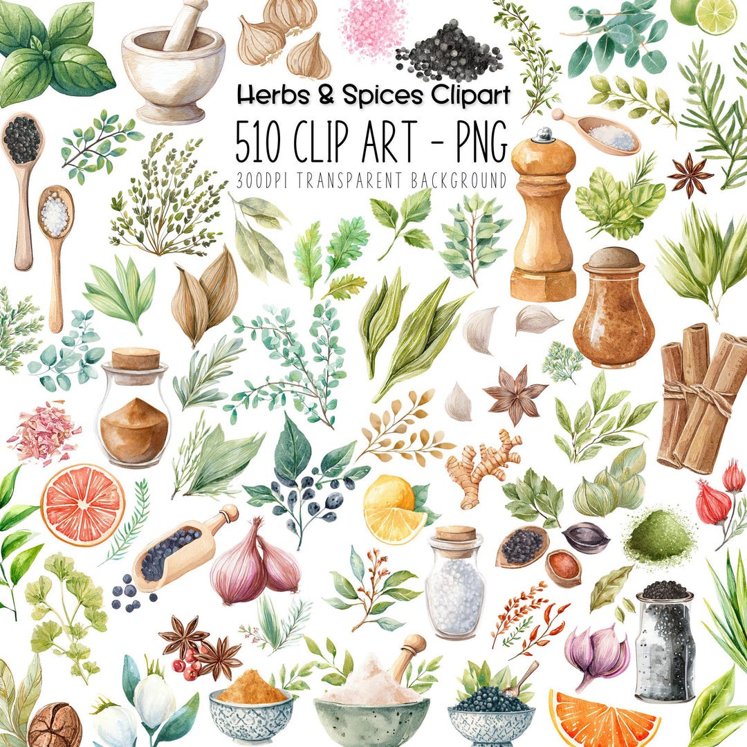 Watercolor Herbs and Spices Clipart: Kitchen Art PNG Bundle (510 Files ...