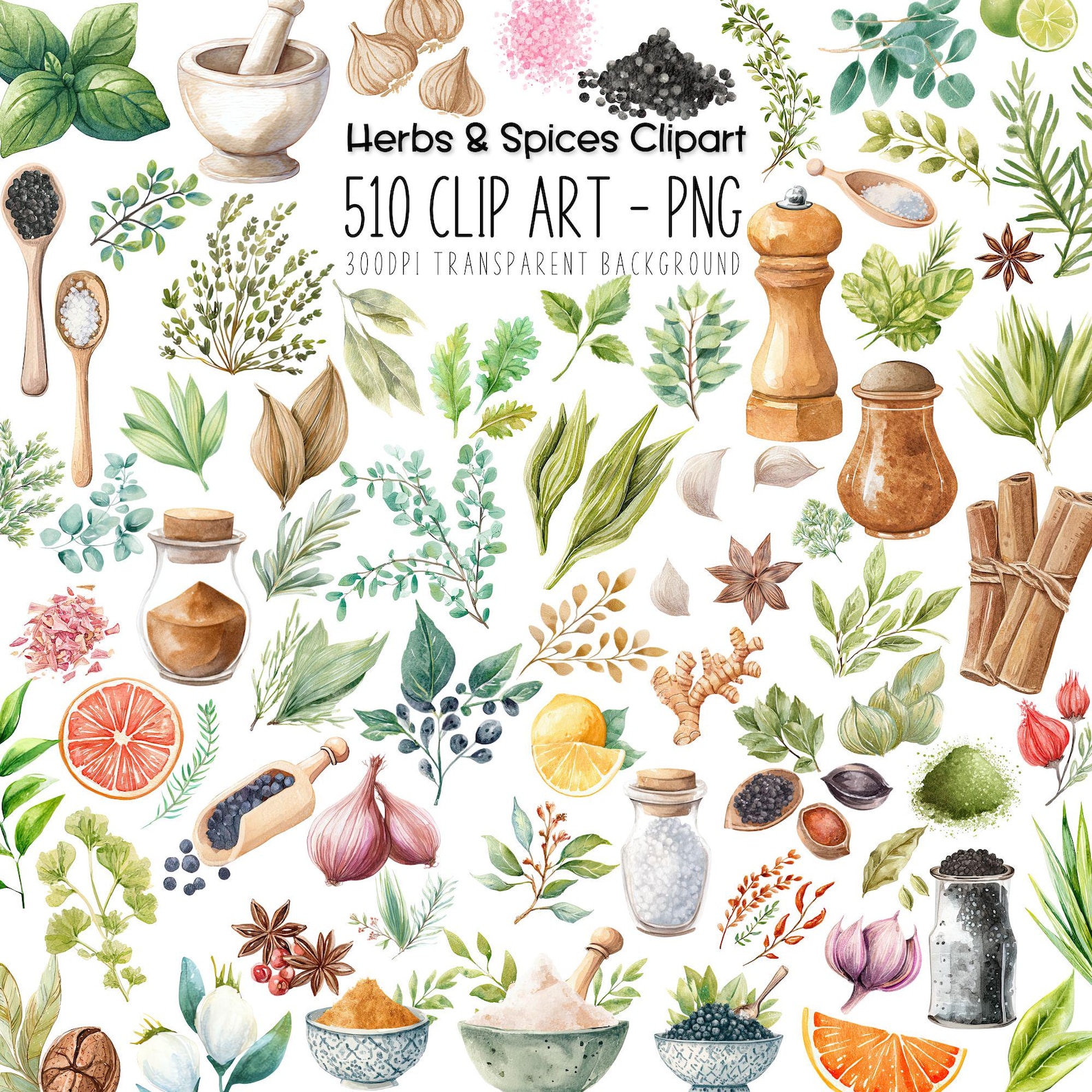 Watercolor Herbs and Spices Clipart: Kitchen Art PNG Bundle (510 Files ...