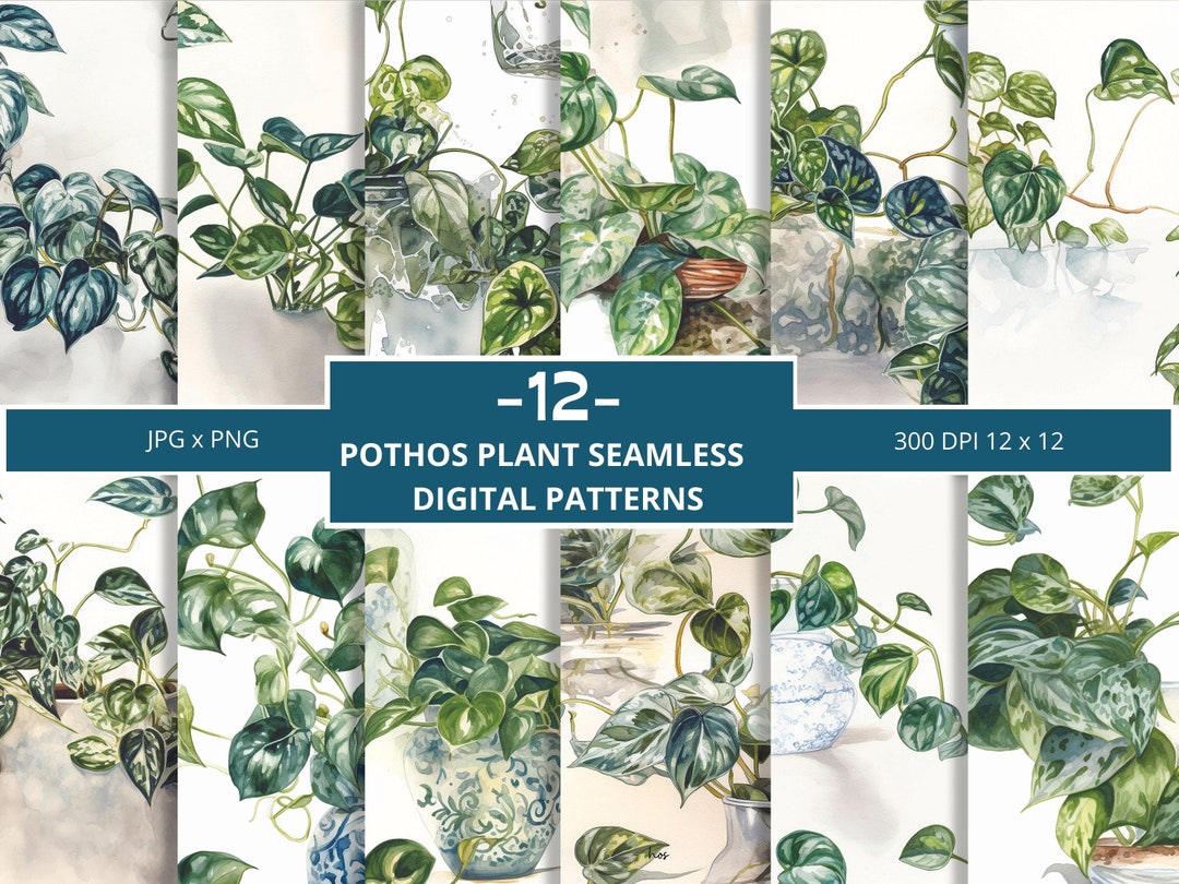12 Pothos Plant Seamless Digital Papers, Commercial Use, Pattern Design ...