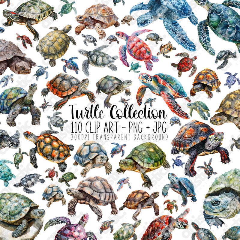 Turtle Clip Art - Etsy