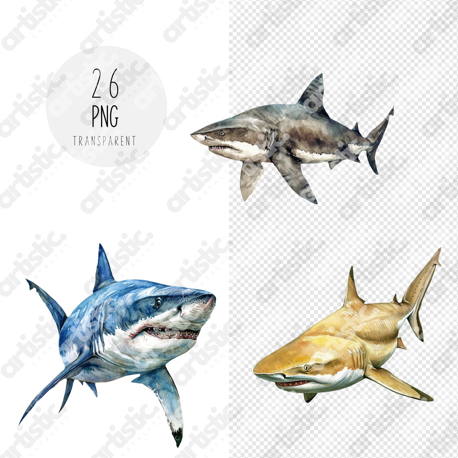 Watercolor Shark Clipart Bundle: 26 PNG Images (digital Download) - Etsy