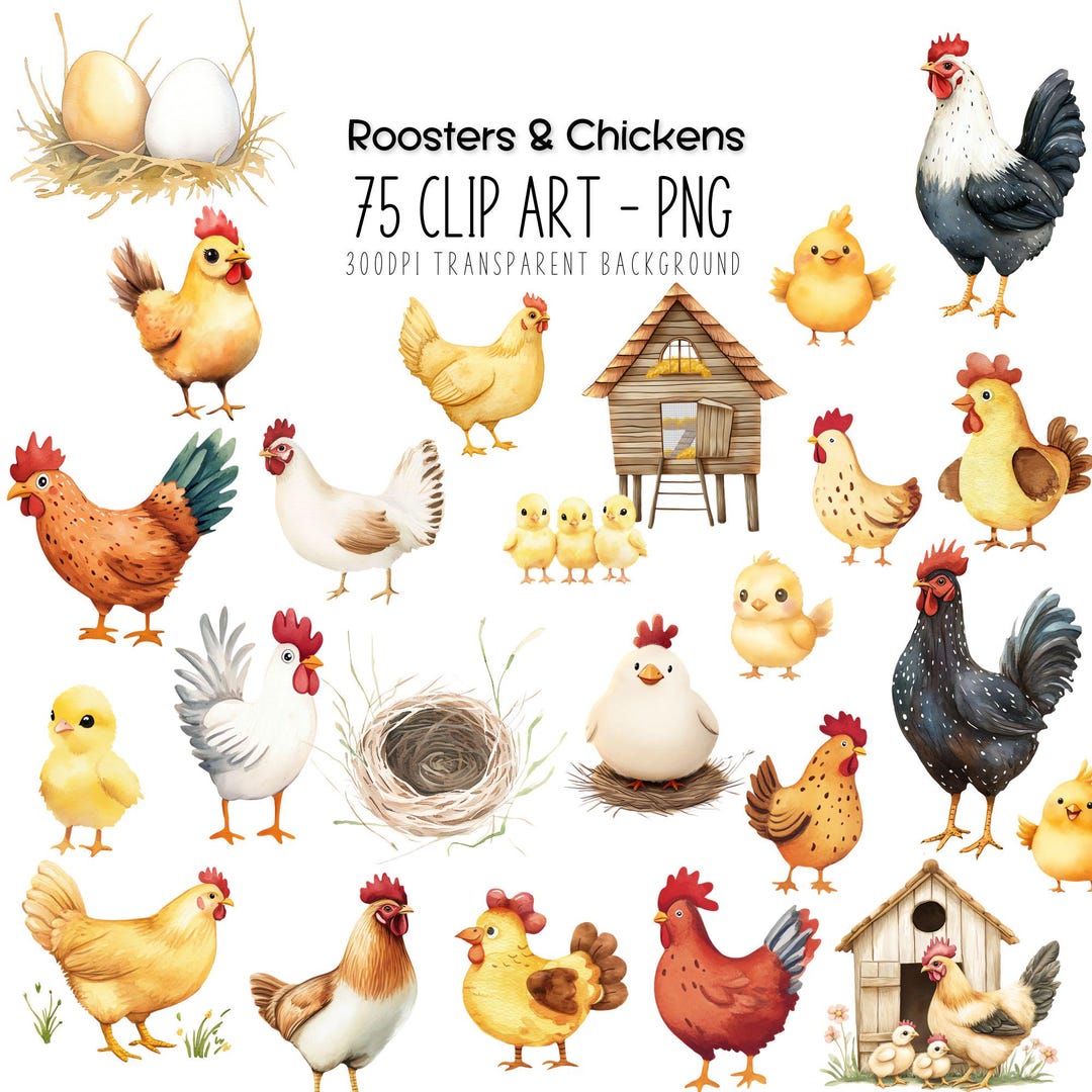 Watercolor Chicken Clipart Bundle: Farm Rooster, Hen & Chicks (PNG) - Etsy