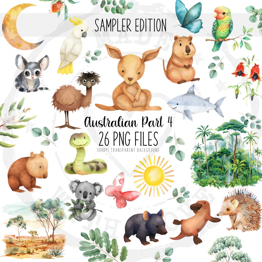 Australian Animals Clipart Bundle Pack (4) - 26 PNG, Baby Animal Art ...