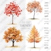 Watercolor Fall Tree Clipart Bundle: 75 Autumn PNG Files (digital ...